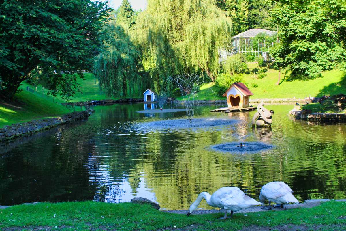 Things to do in Lviv Ukraine – Top 20 of the best places