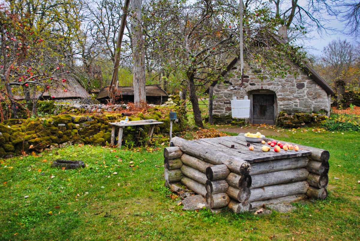Estonian Islands - Vacation on the Baltic Sea