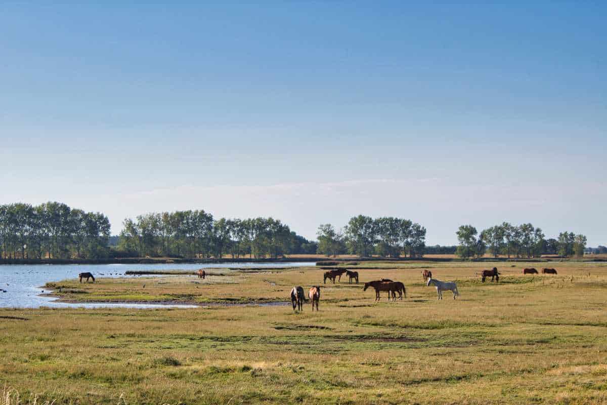 Discovering Poel island – A hidden gem of Germany